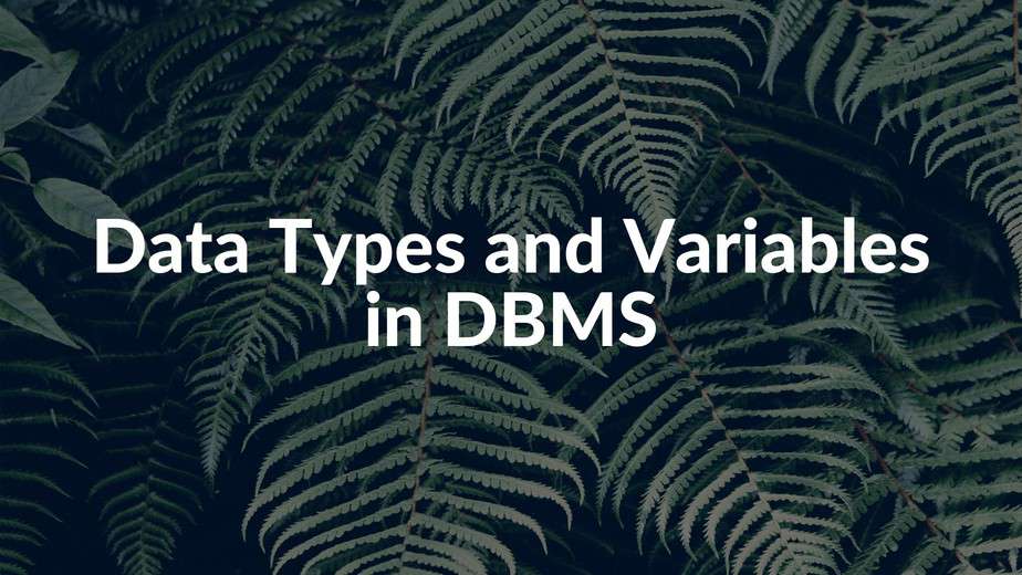 Data types in DBMS